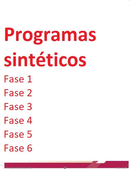 Programas sintéticos, fase 1 a la 6. - Joel Servando